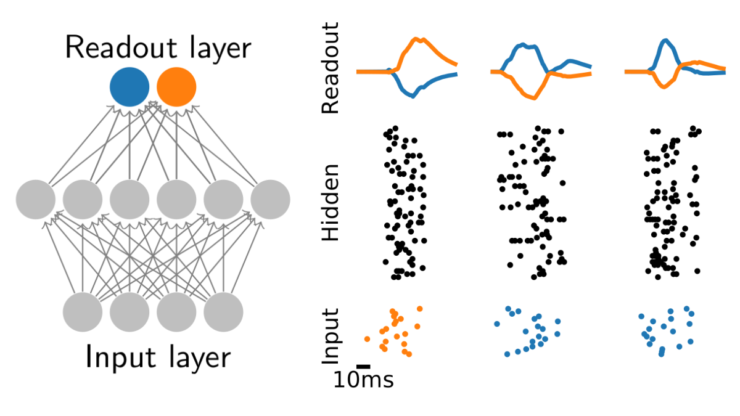 Preprint: The remarkable robustness of surrogate gradient learning for instilling complex ...