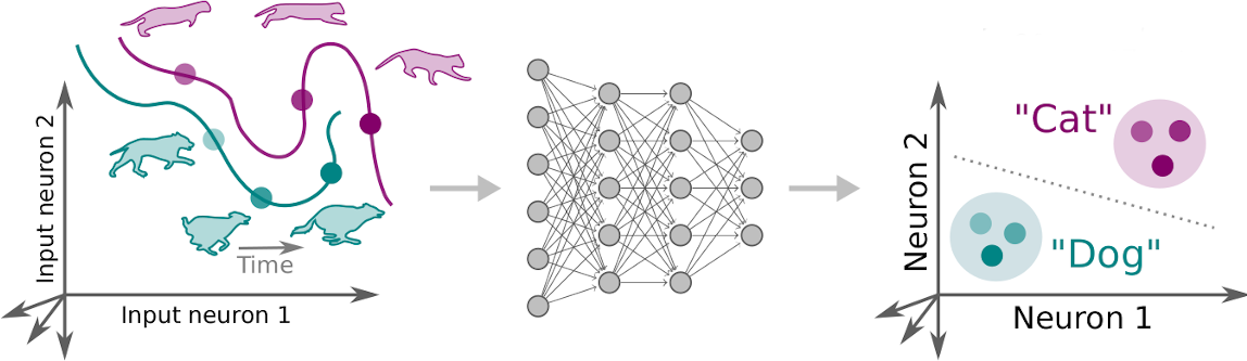 Hebbian plasticity could be the brain’s trick to make self-supervised ...