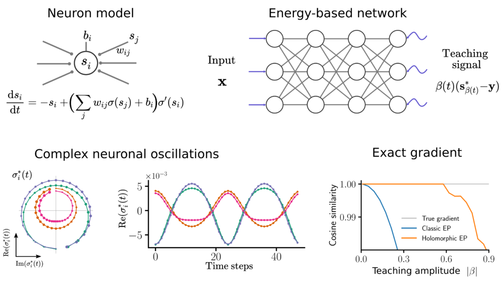 Holomorphic Equilibrium Propagation – Zenke Lab